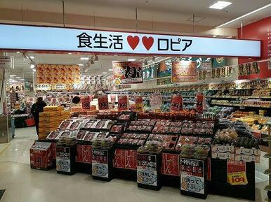 サニーヒルズ サウスB 202 2LDK 厚木市の貸アパートの物件情報｜賃貸(アパート・マンション・一戸建て)｜厚木市の賃貸ならチュウオウコーポレーション ...